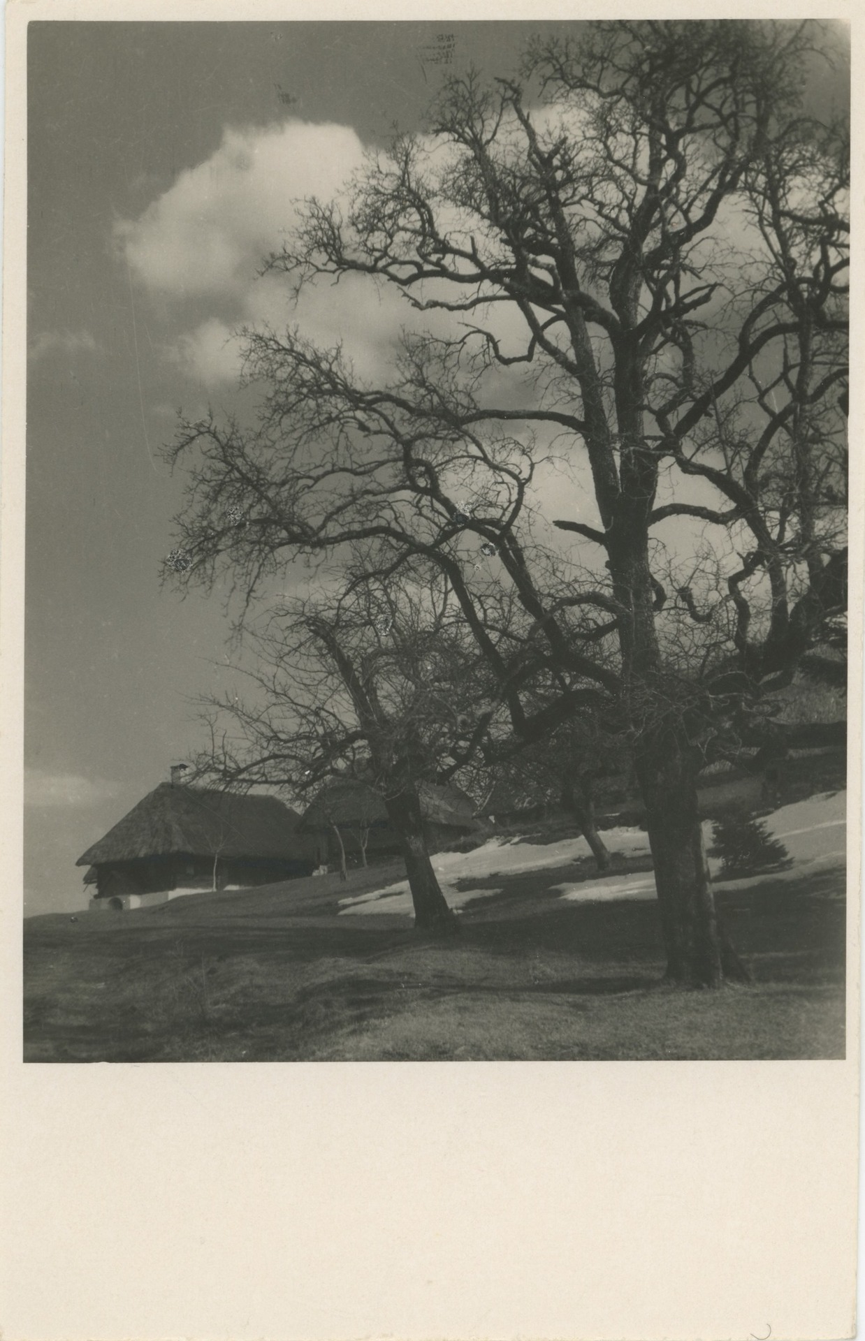 The Sculptor and Photographer Borut Hribar