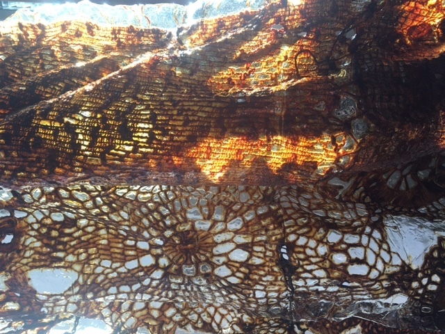 Metka Kavčič / Ostaline